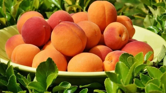 Wonderful benefits of peach: Prevent seasonal allergies, constipation ...